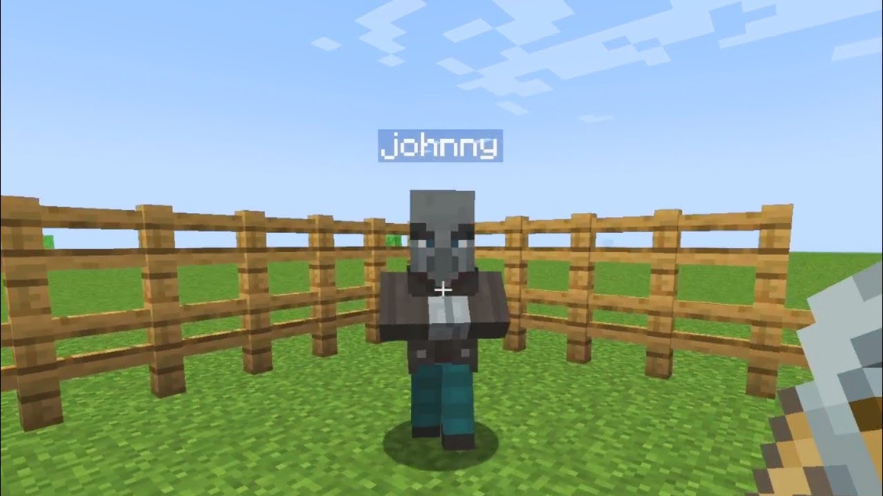 Minecraft 1.17 : Weird Johnny (Vindicator) glitch - YouTube