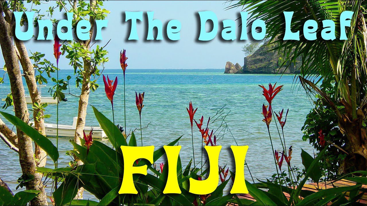 Under the Dalo Leaf: A Fiji Expedition - YouTube