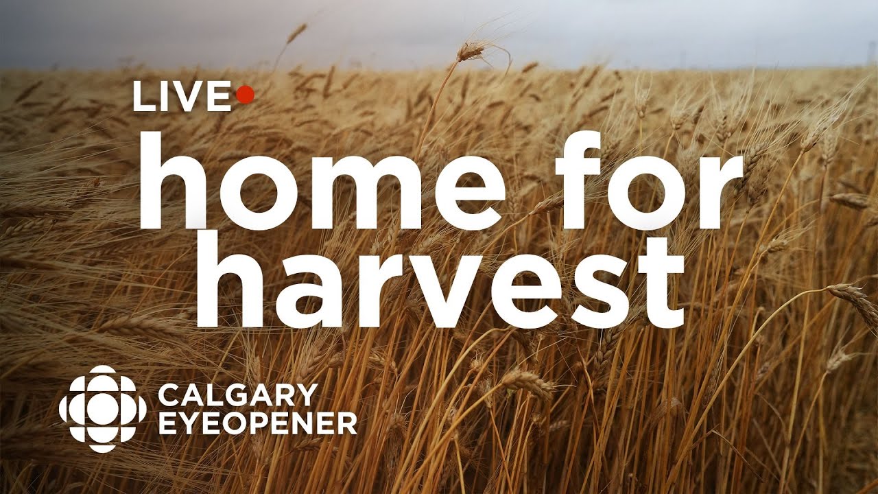 Home for Harvest: How farming and agriculture in southern Alberta is ...