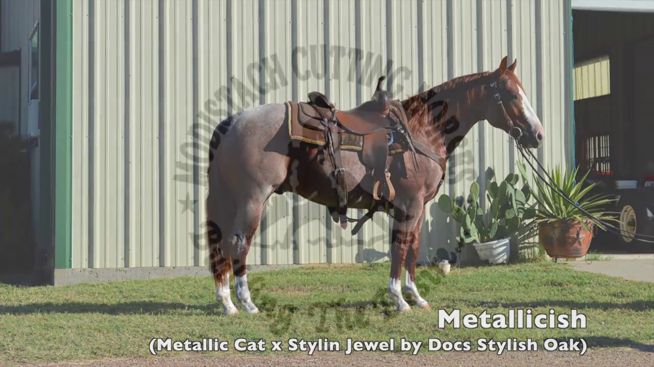 Metallicish by Metallic Cat - 2014 red roan stallion - YouTube