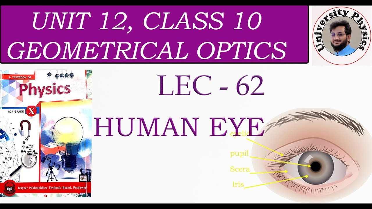 Human Eye Structure Of Human Eye Human Eye Class 10 Physics YouTube Human Eye Structure Of Human Eye Human Eye Class 10 Physics YouTube
