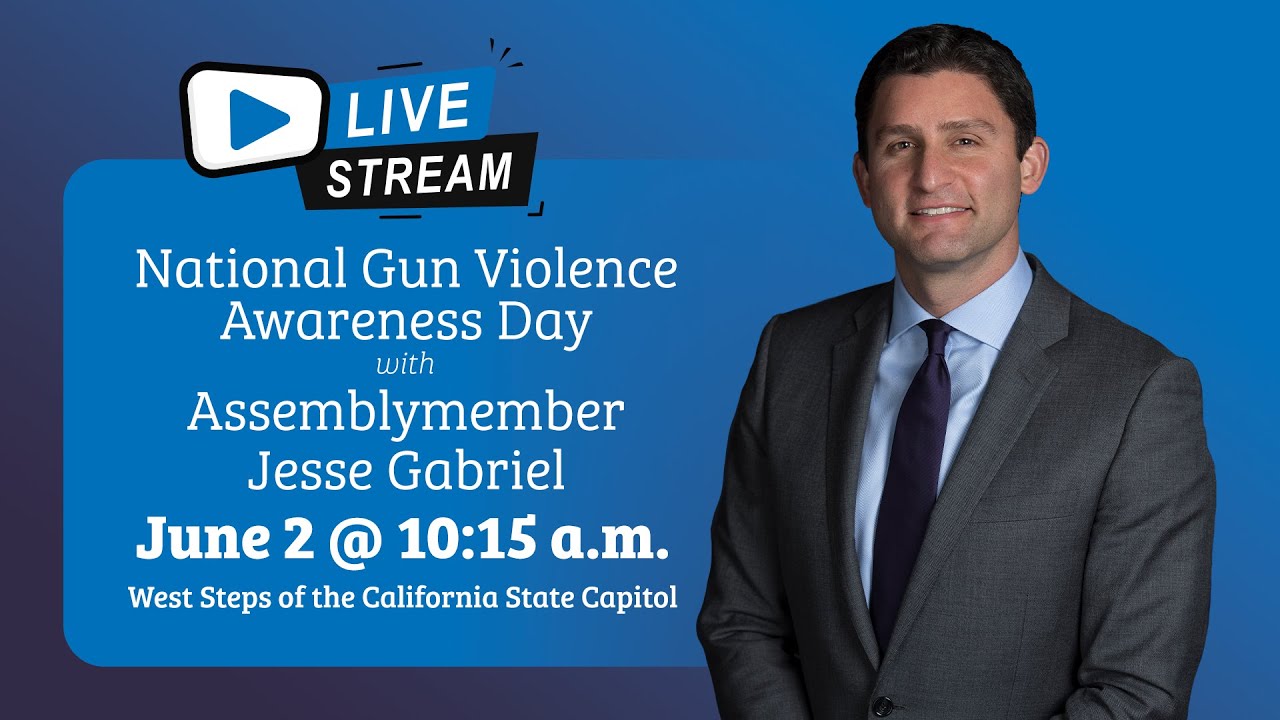 Assemblymember Jesse Gabriel and his colleagues rally for National Gun ...