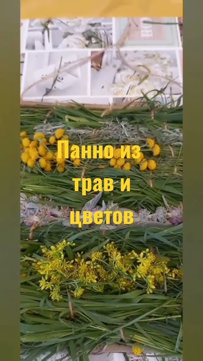Панно из трав и цветов Youtube