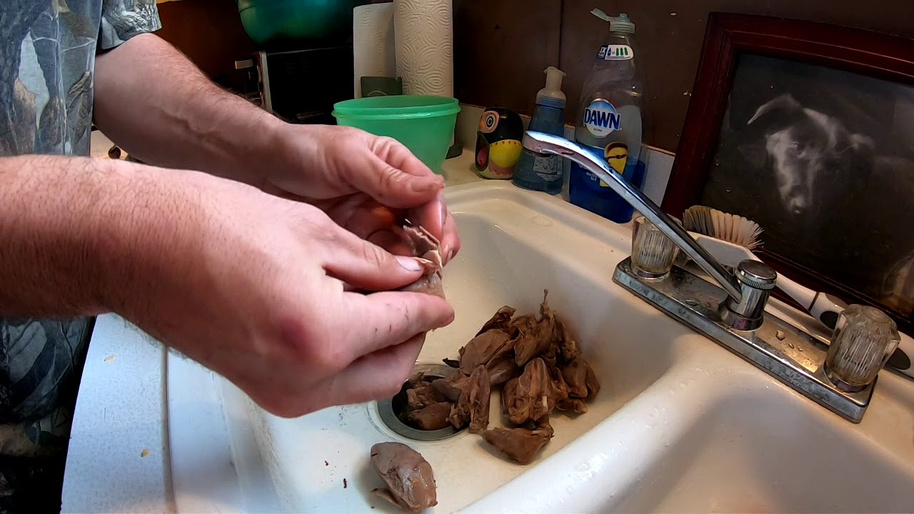 Deer,Duck, and Dove Perlo Cooking It Up With Big Pensel - YouTube