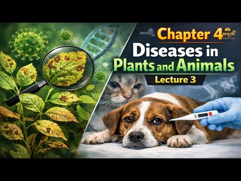Grade 12 Biology Chapter 4 Lecture 3