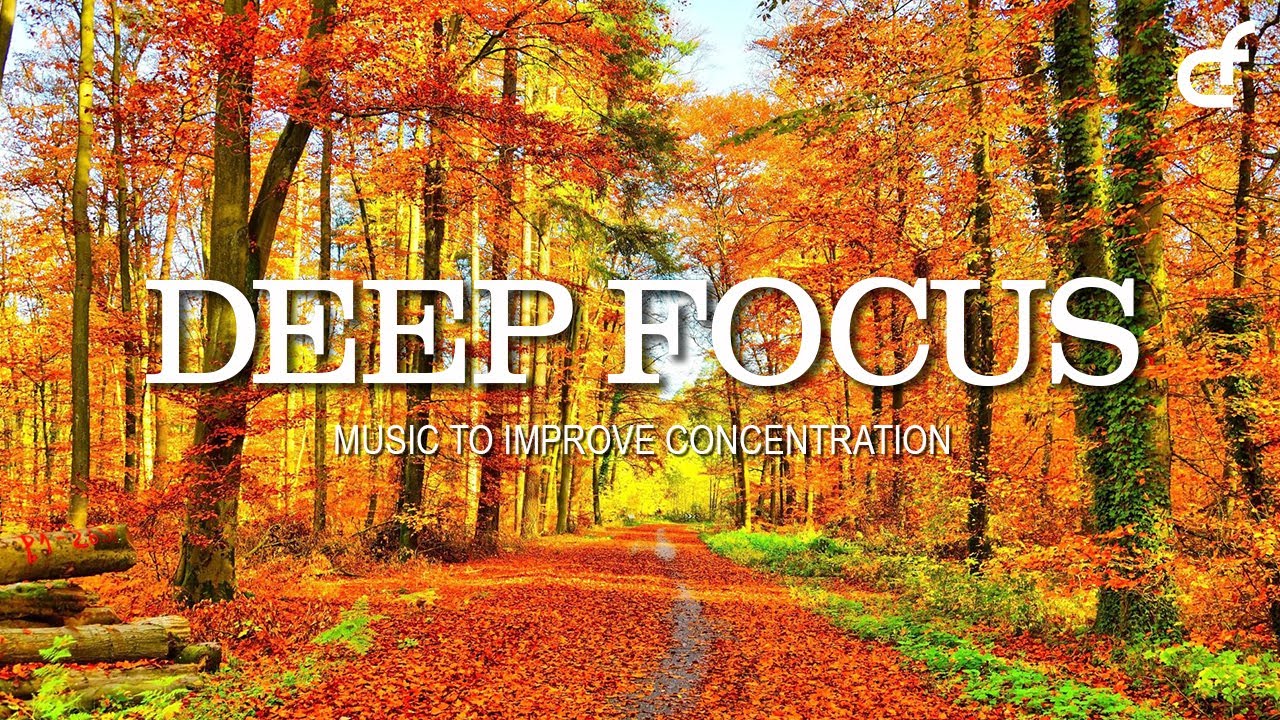 Deep Focus Music | Music for Studying - 11 Hours of Music for Studying ...