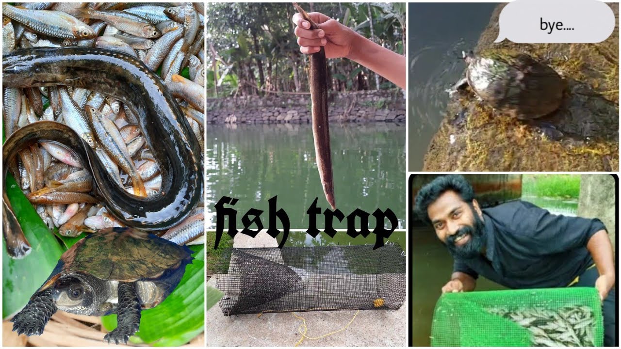 M4 TECH INSPIRED FISH TRAP | FISHING | - YouTube