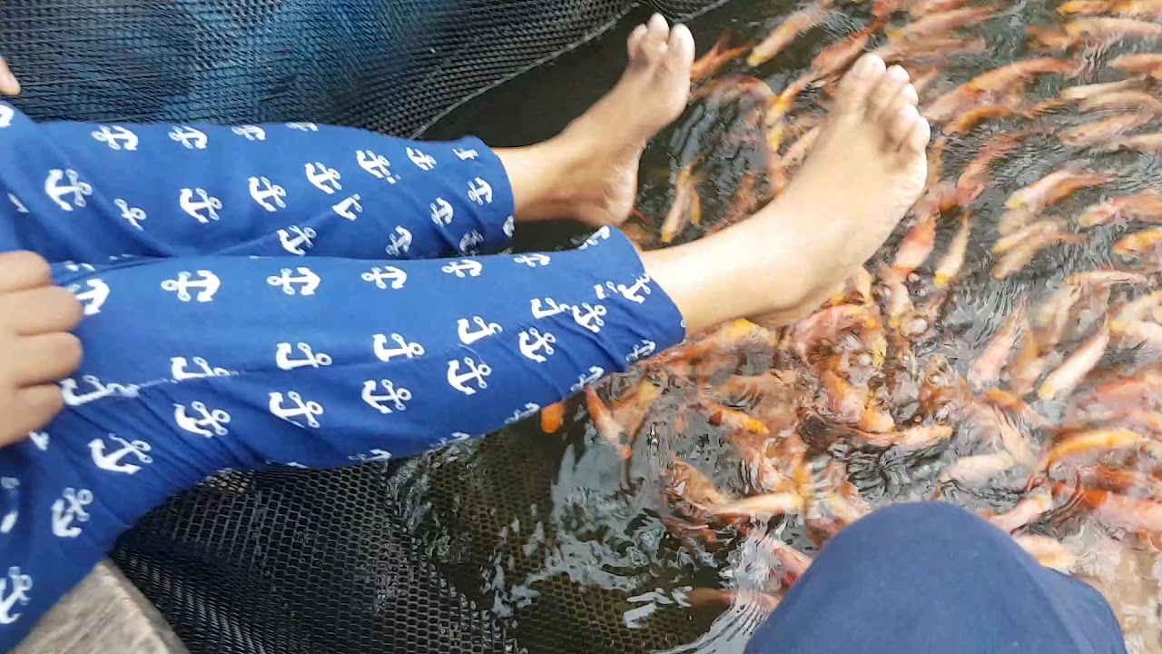 Fish therapy - YouTube