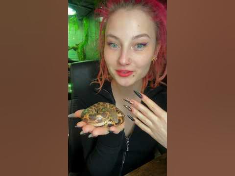 Песчаный удавчик Мюллера #питомцы #животные - YouTube