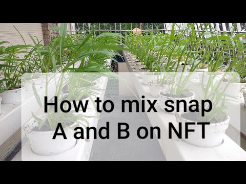 SNAP HYDROPONICS TUTORIAL | NFT SET UP