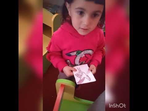 icma oyunları: mövzu quşlar