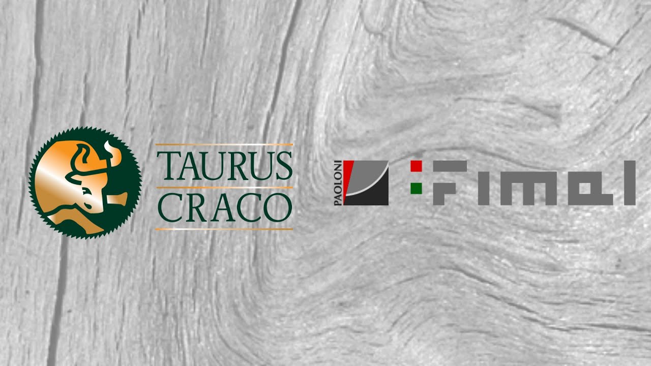 FIMAL P3200 AX Sliding Table Saw - YouTube