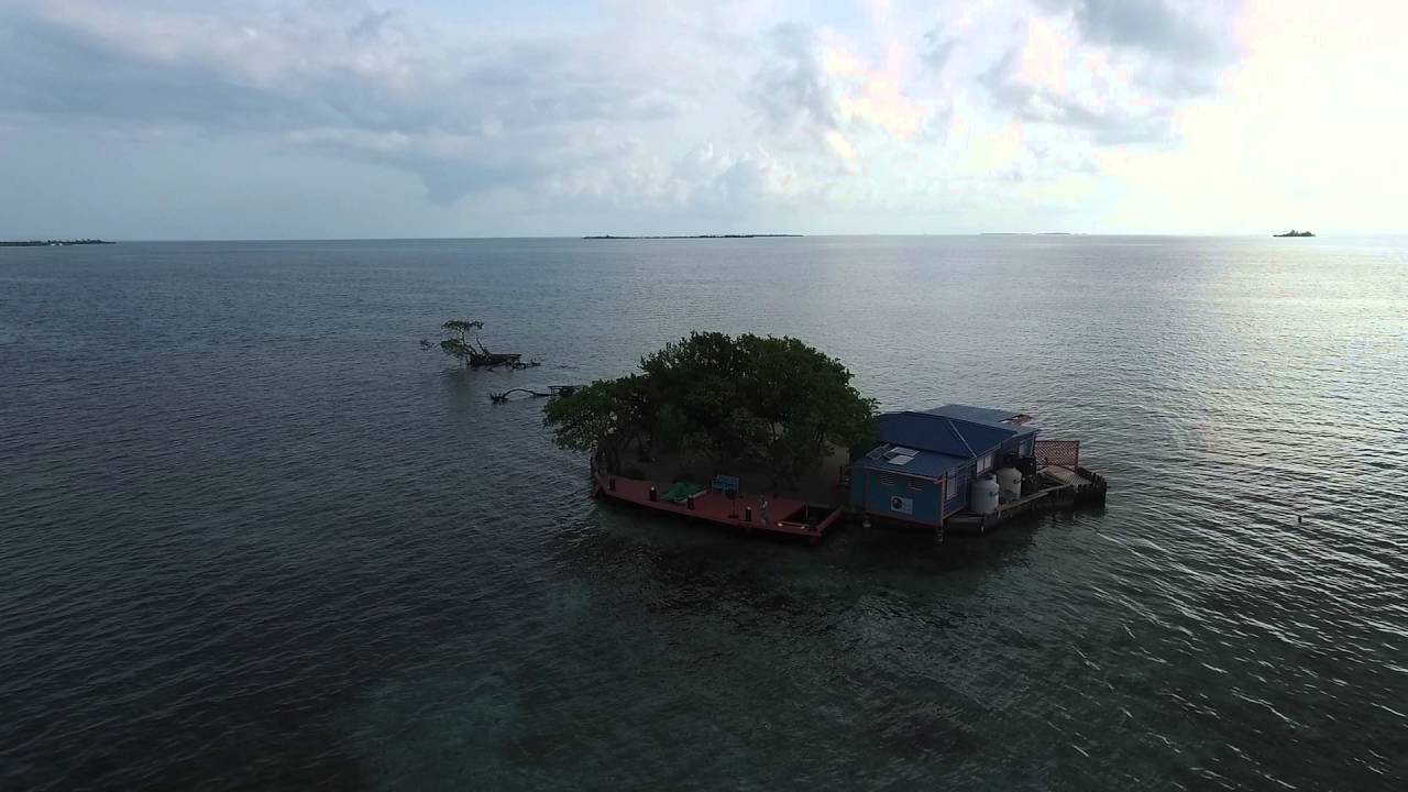 Bird Island Belize, drone circle - YouTube