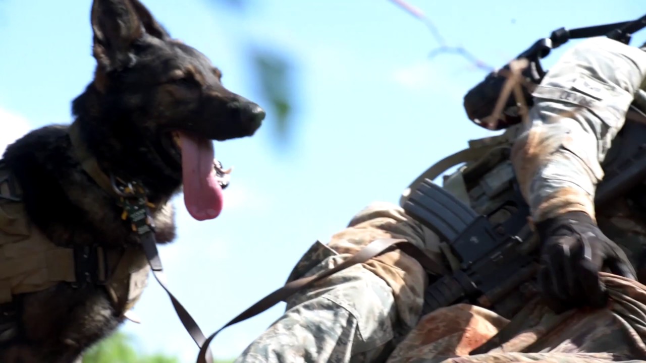 Security Forces Advanced Combat Skills Assessment - YouTube