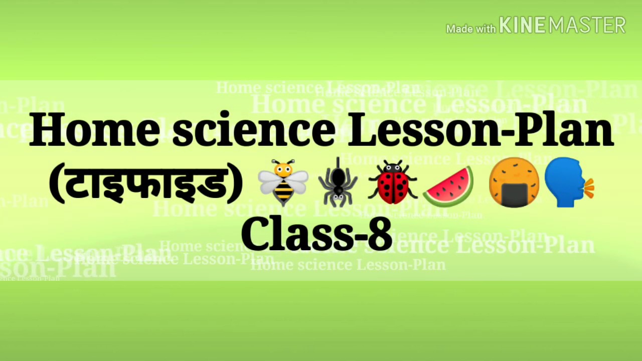 Home Science Lesson-Plan -7 टाइफाइड class-8 for B. Ed/ D. Eled & other ...