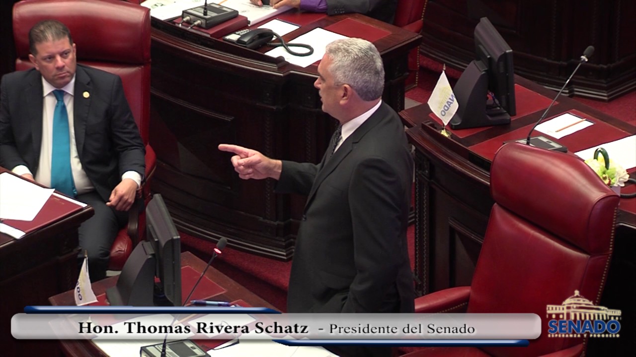 Thomas Rivera Schatz en su turno durante la Sesión Ordinaria del 9 de ...