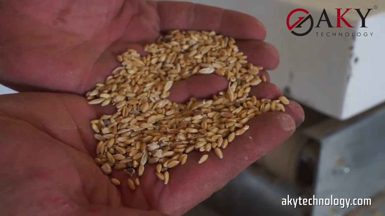 Wheat Seed Processing Plant - AKY Technology - YouTube