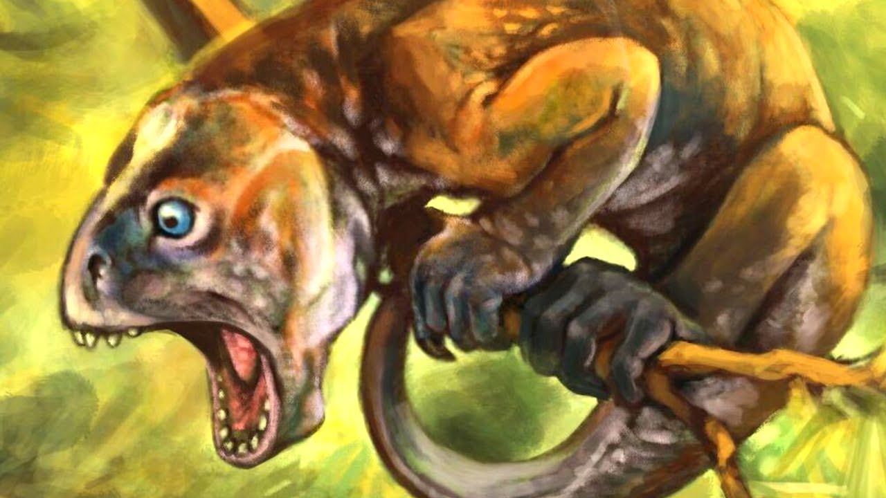 Suminia - The Permian Monkey Look-alikes - YouTube