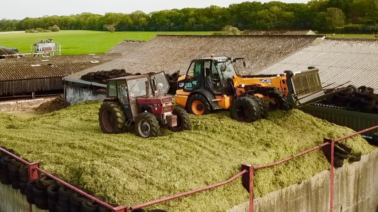 WE ARE CHOPPING GRASS !! THE CLAMP IS OVERFLOWING ! | Tom Pemberton ...