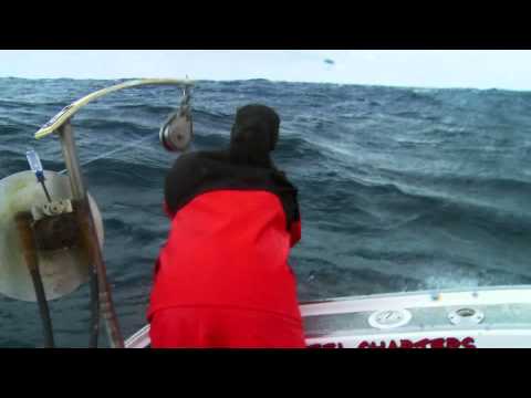 Wicked Tuna: Outer Banks Premieres Sunday on Nat Geo! - 30 sec