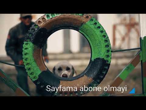 Jöh pöh yeni operasyon muziği