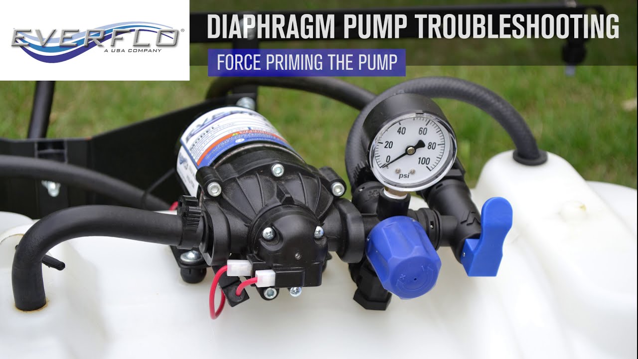 Troubleshooting Everflo 12V Diaphragm Pump Inlet Strainer - YouTube