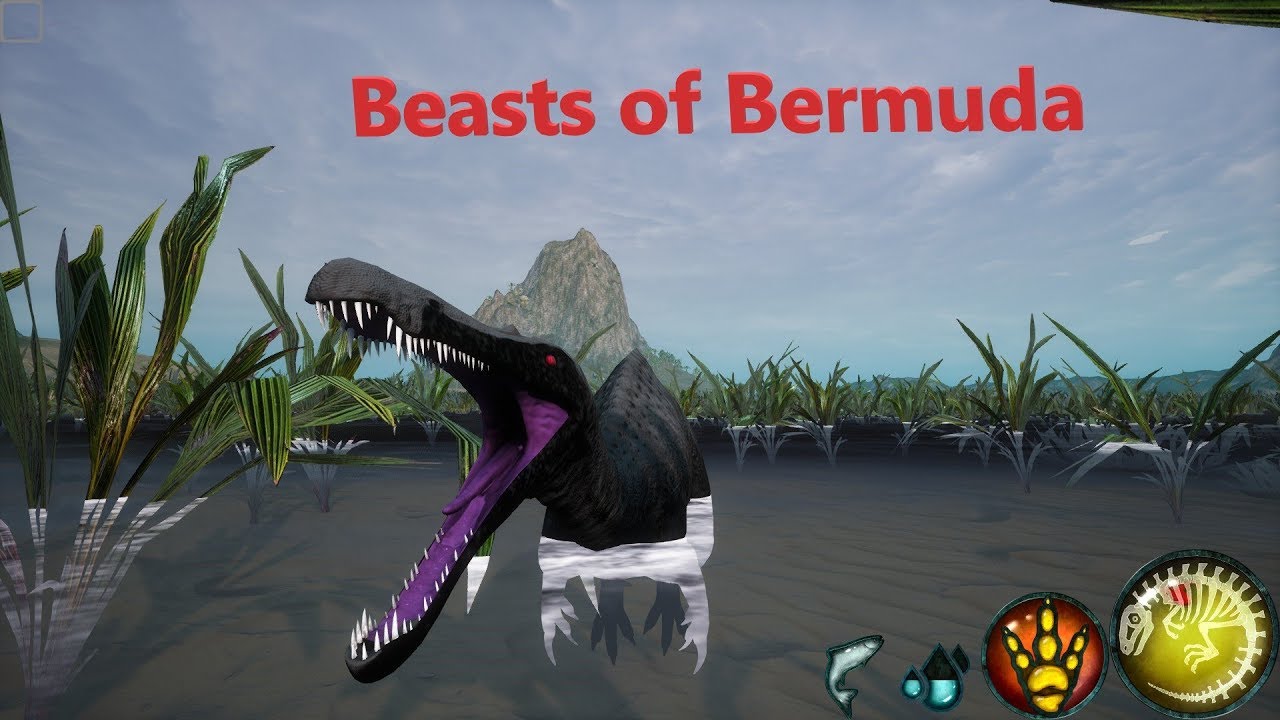 Beasts of Bermuda | Беглый взгляд. - YouTube