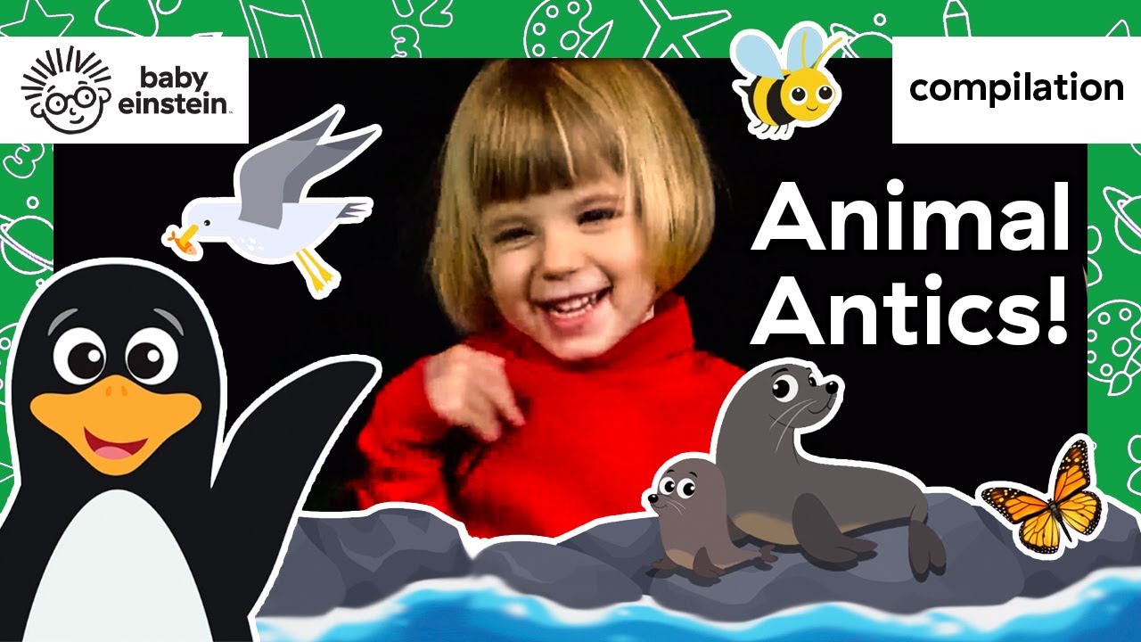 Animal Antics! Learning with Baby | Baby Einstein | Learning Show for ...