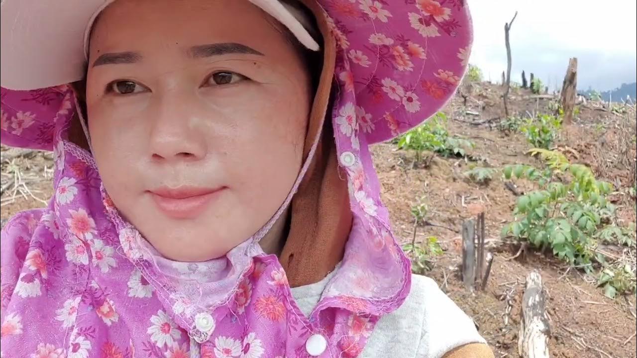 hnub no mu ua zog cog nplej lawm os - YouTube