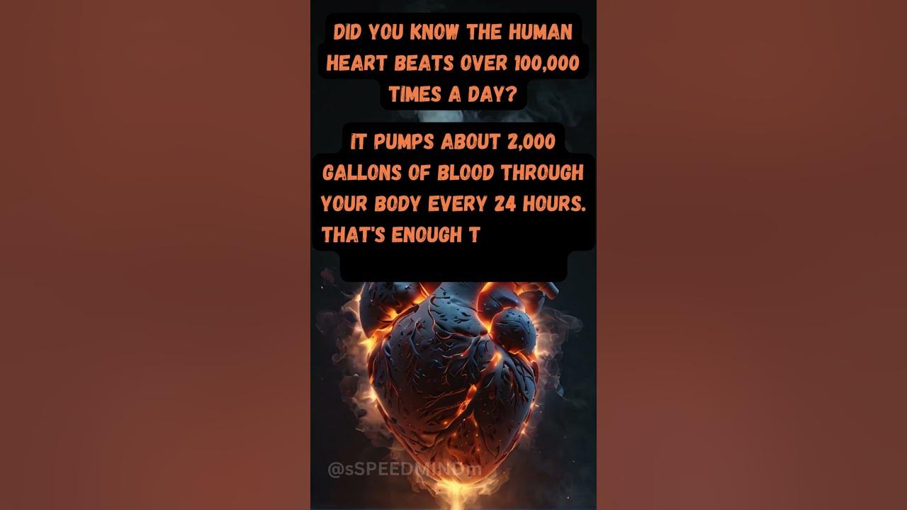 Mind Blowing Facts About The Human Heart YouTube mind-blowing-facts-about-the-human-heart-youtube