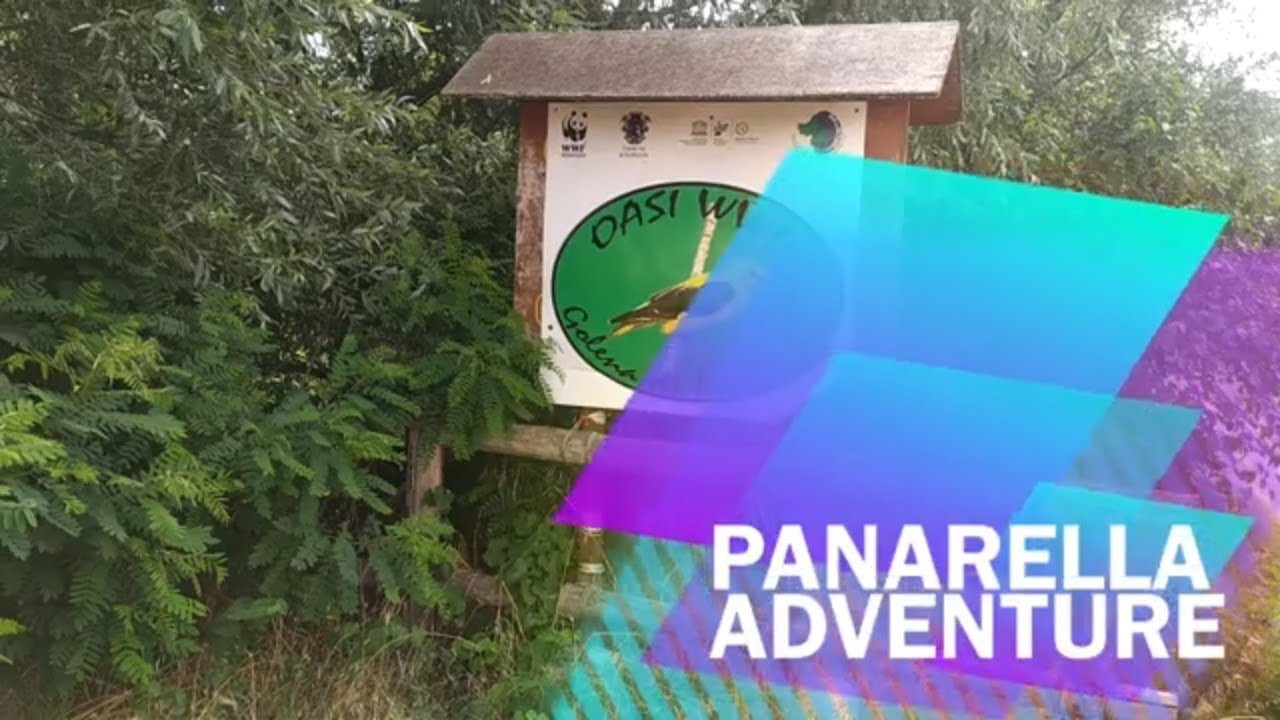 OASI di PANARELLA | Centro Estivo CSI per bambini | Papozze 2024 - YouTube