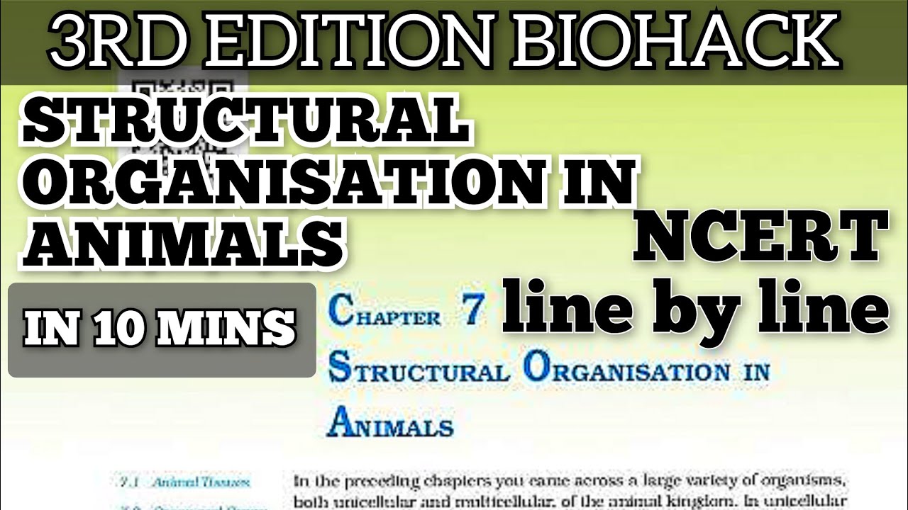 CH7 STRUCTURAL ORGANISATION IN ANIMALS(3RD EDITION BIOHACK) in 10 MINS|NCERT line by line ...