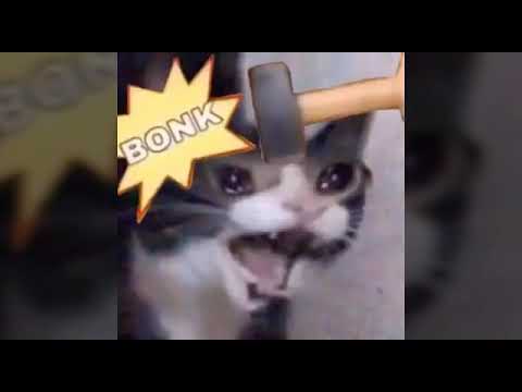 Cat Bonk XL - YouTube