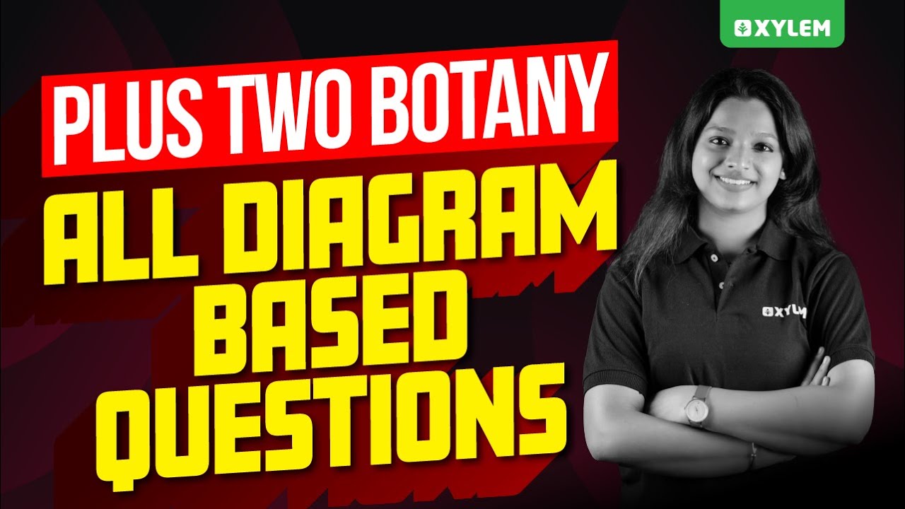Plus Two Botany | All Diagram Based Questions | Xylem Plus Two - YouTube