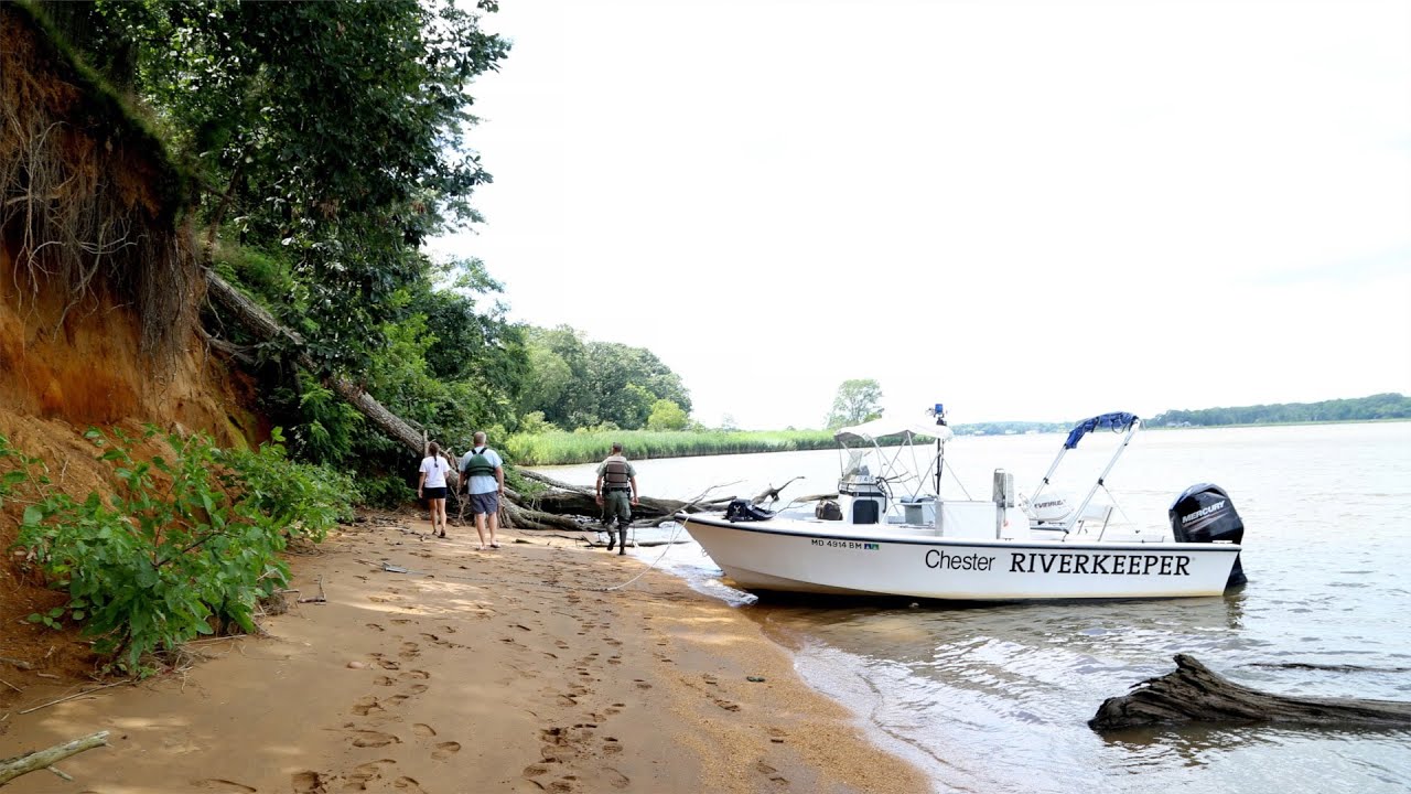 Restoring the River - YouTube
