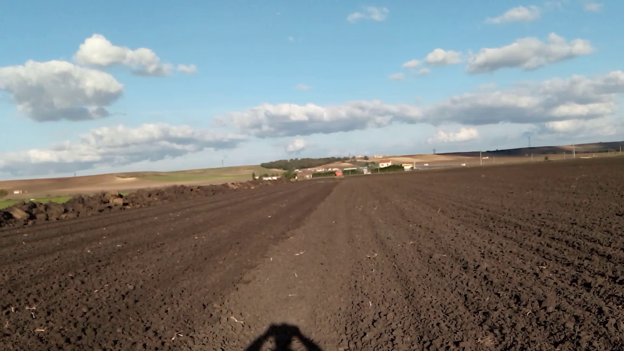 Seminatrice con barra seminate s tre file indicata per la semina ...