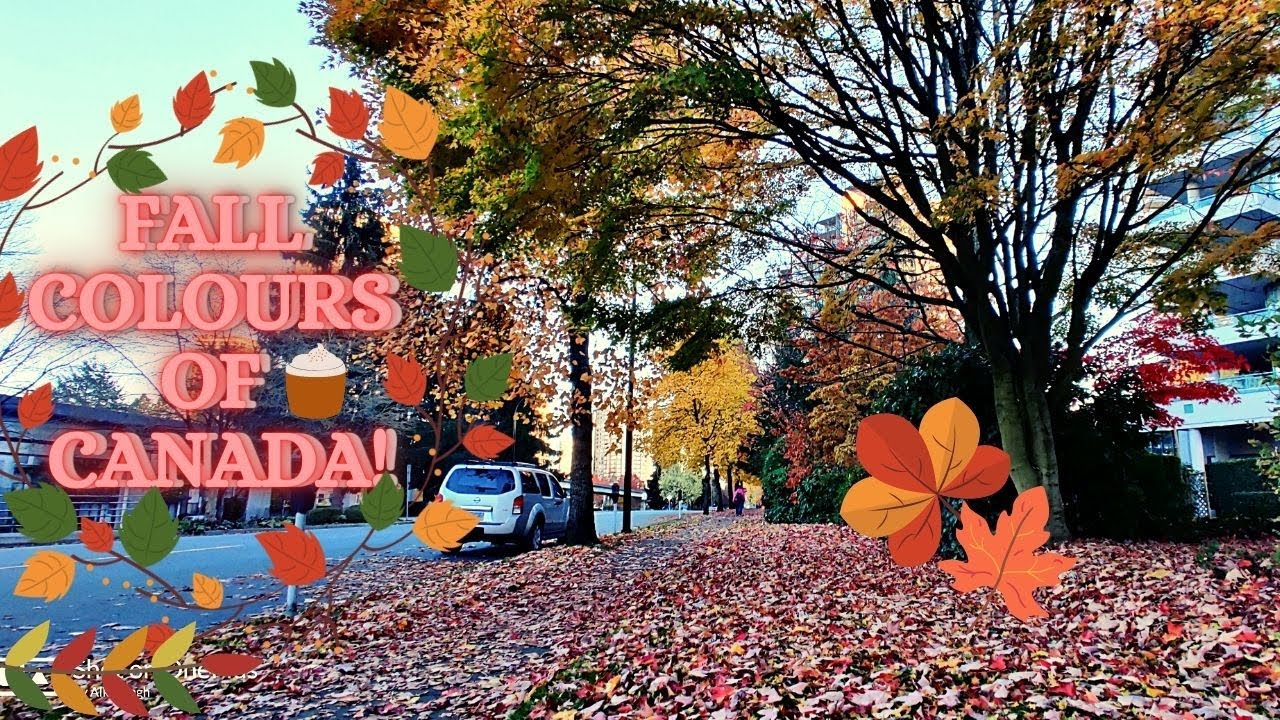 My first Autumn Fall Walk BC Canada | Vancouver Autumn Season | Fall ...