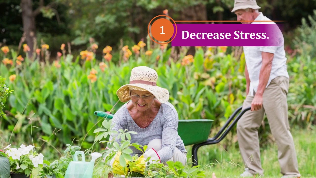 The Benefits of Helping Others: Improve Your Health Through Good Deeds ...