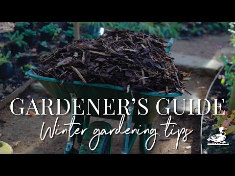 Winter Gardening Tips | Country Living UK