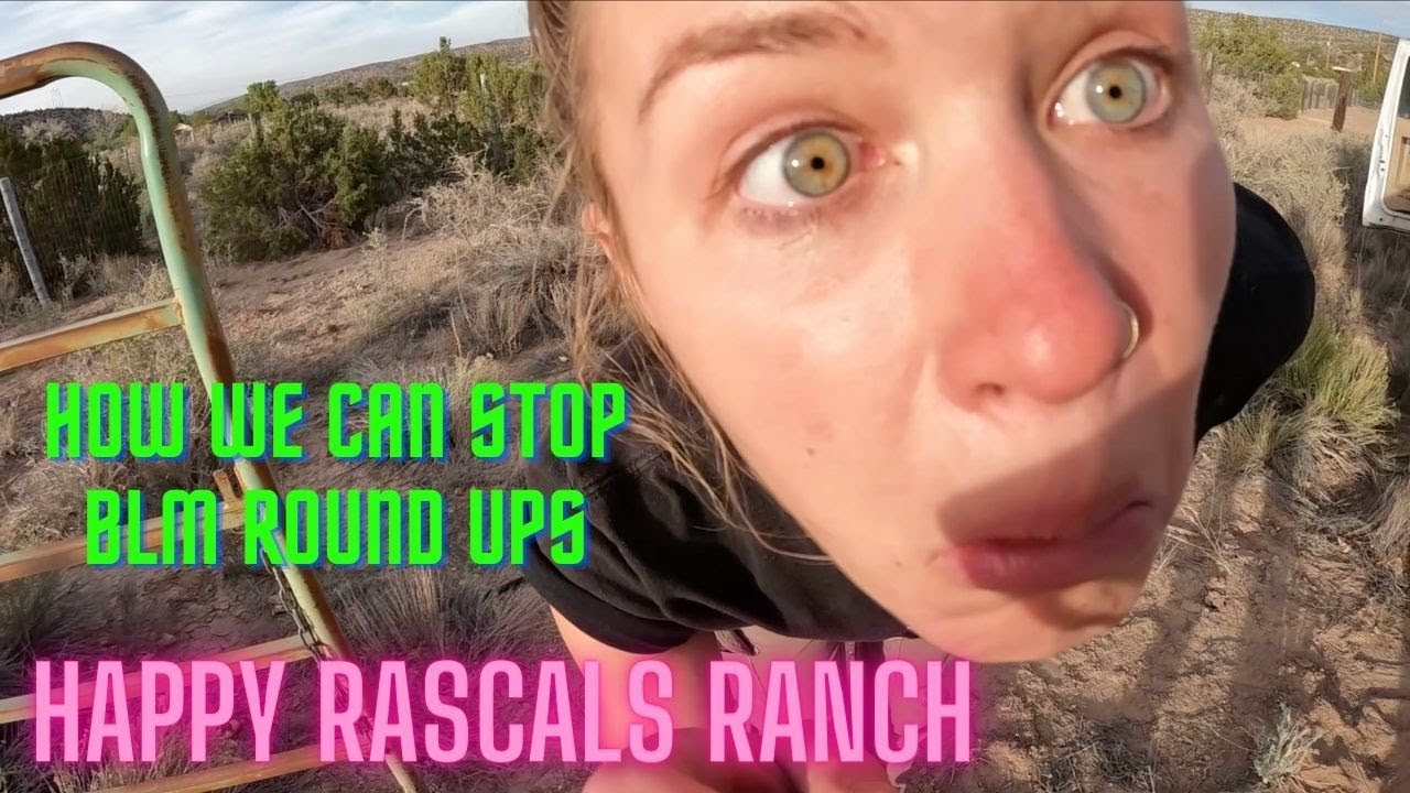 Ep 16. VOLUNTEER EFFORTS | Happy Rascals Ranch . What to do to prevent ...