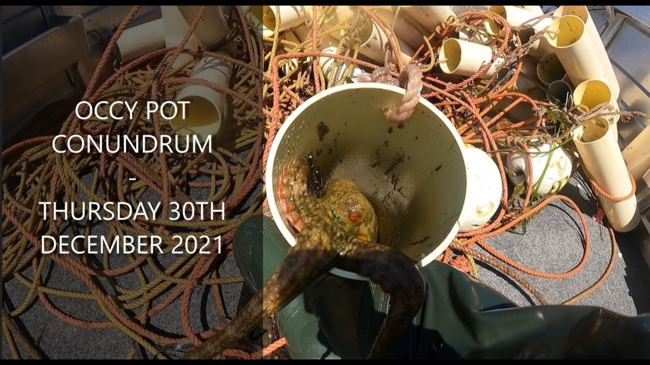 AL'S OCCY POT CONUNDRUM!!! - YouTube