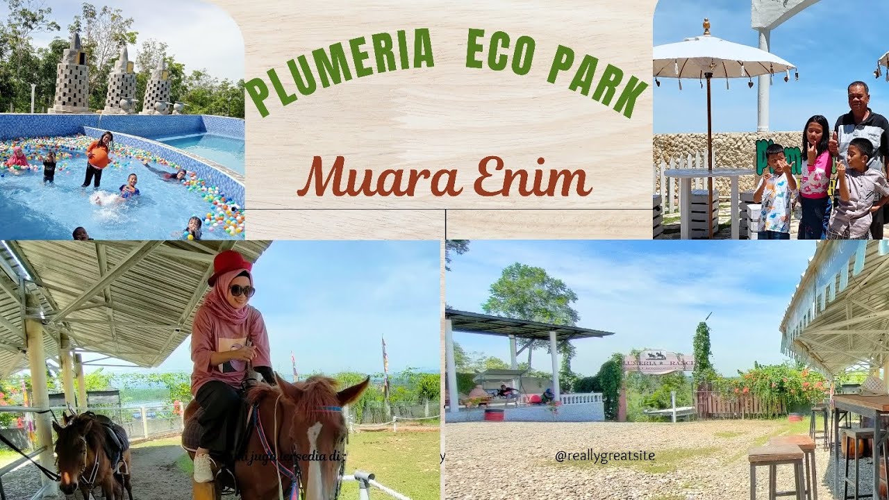 Plumeria Eco Park || Wisata Alam Muara Enim #plumeria #ecopark #sumsel ...