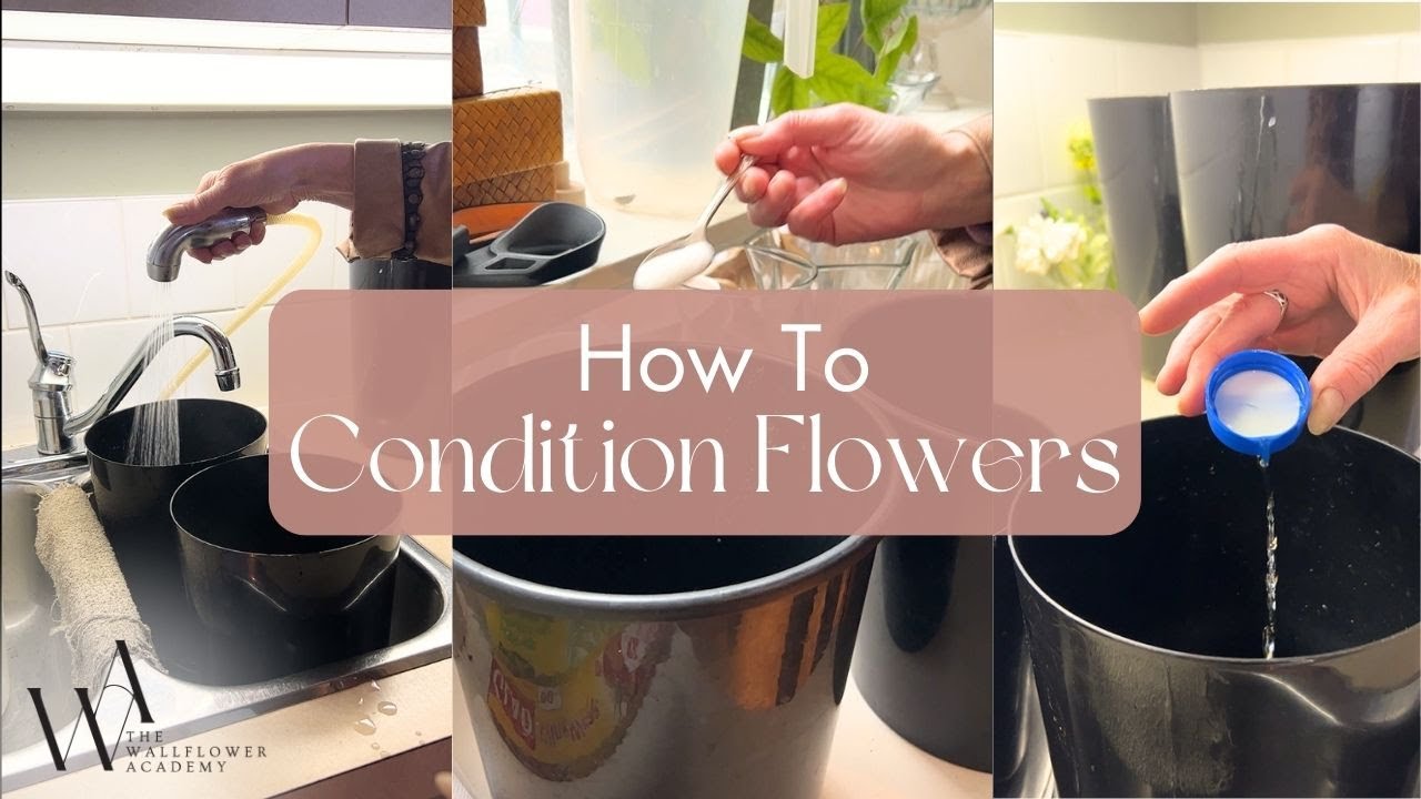 Flower Conditioning Process | How to Keep Your Flowers Fresh Longer ...