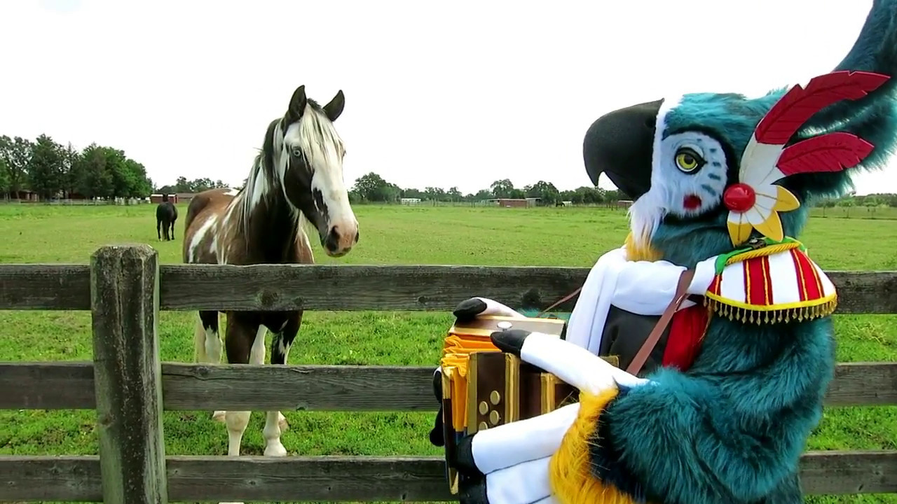 Breath of the Wild: Kass Cosplay - Must be 18 or older to order - YouTube