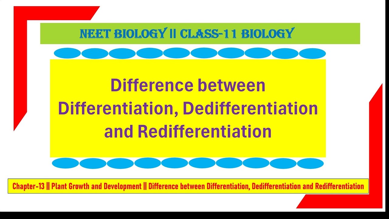 Differentiation Dedifferentiation And Redifferentiation |Plant Growth ...