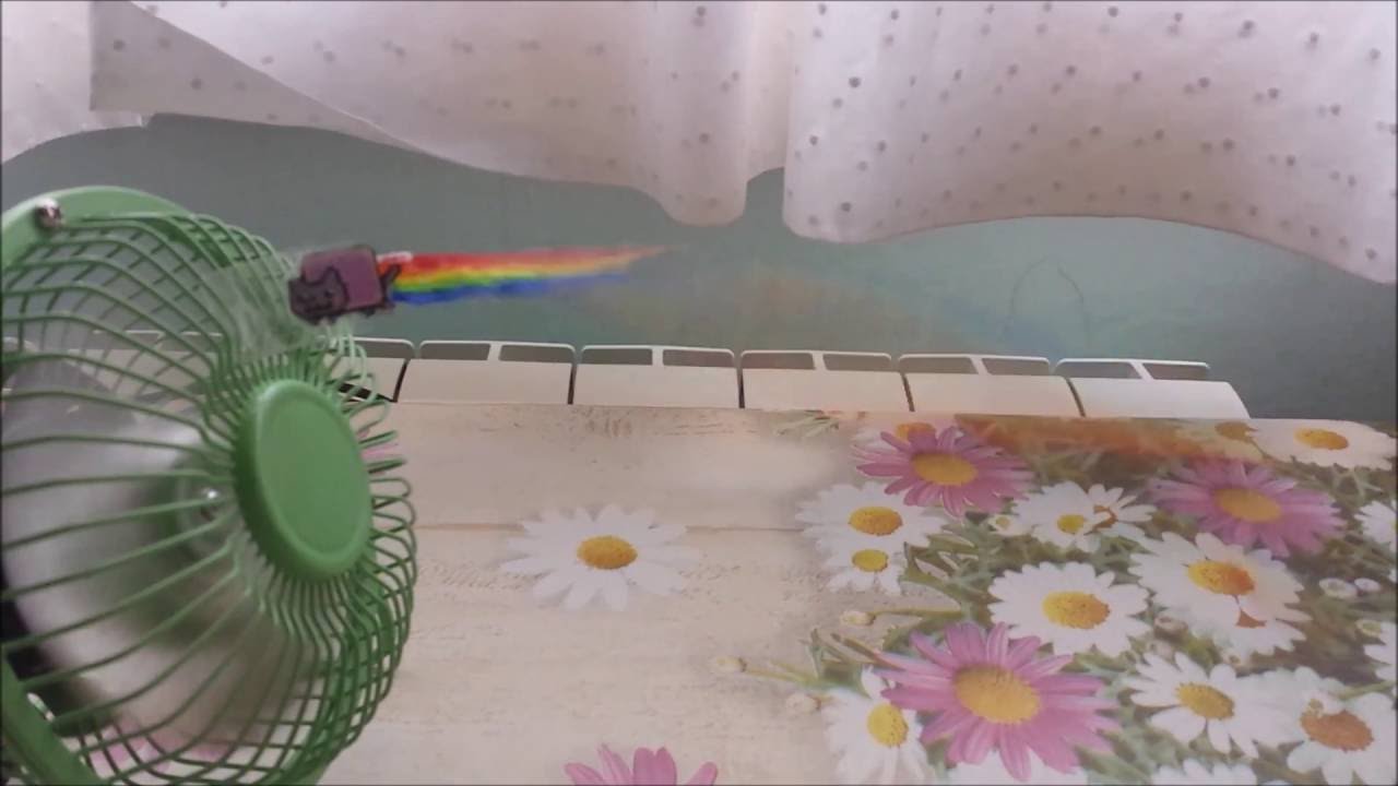 Realistic Nyan Cat - YouTube