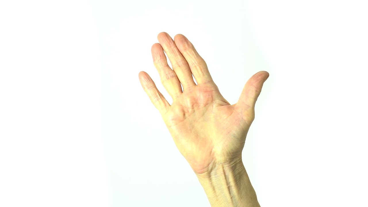 Senior Exercises | Hand Therapy | Partial Fist - YouTube