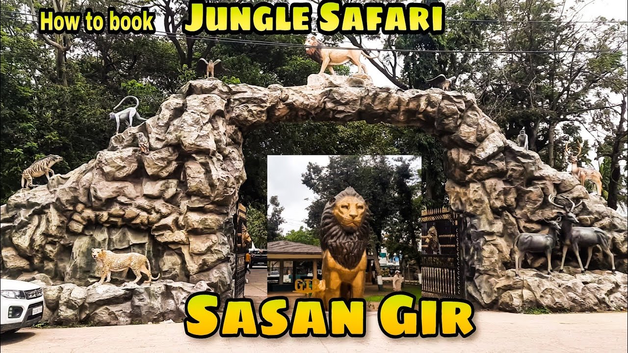 Sasan Gir Jungle Safari 🦁| Devaliya Park Sasan Gir Gypsy Safari | Gir ...
