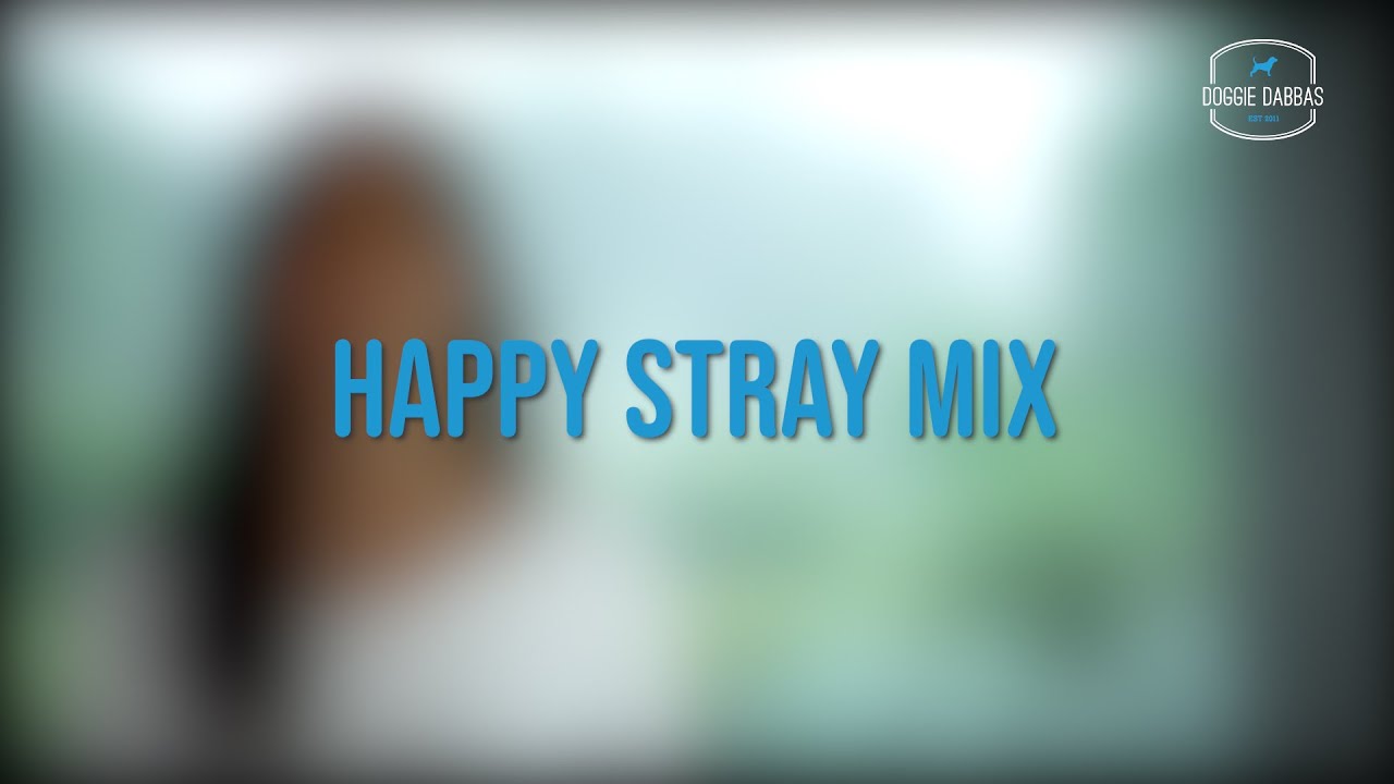 Happy Stray Mix | Doggie Dabbas | Food for stray Dogs & Cats | Feed a ...