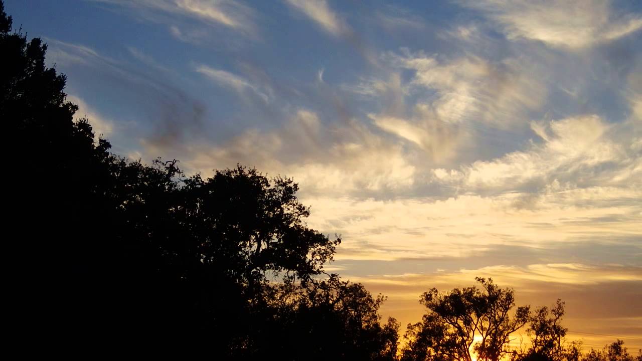 Boar hunting at sunset - YouTube